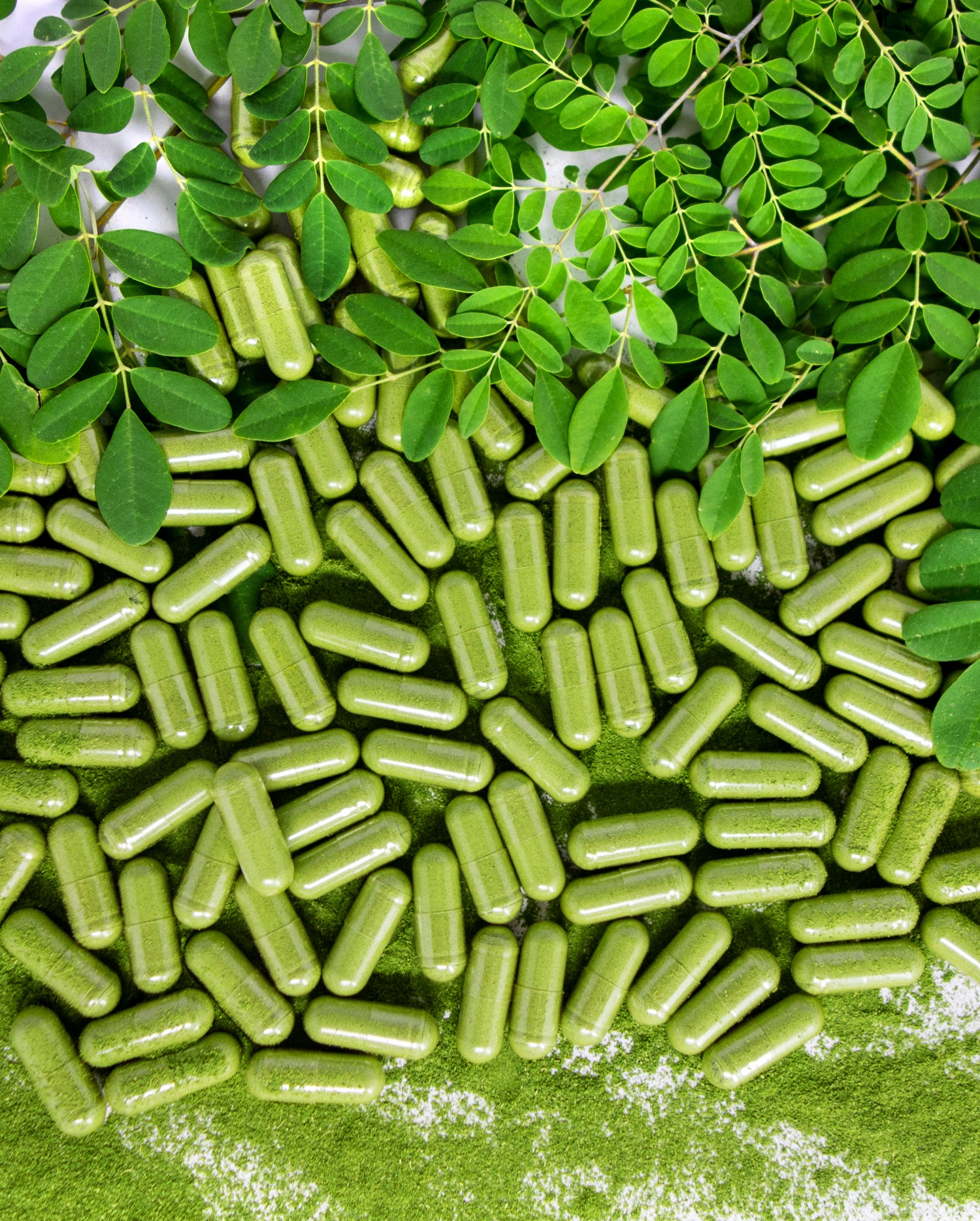 About Sonoran Organic Products Moringa Capsules | Sonoran Organic Products